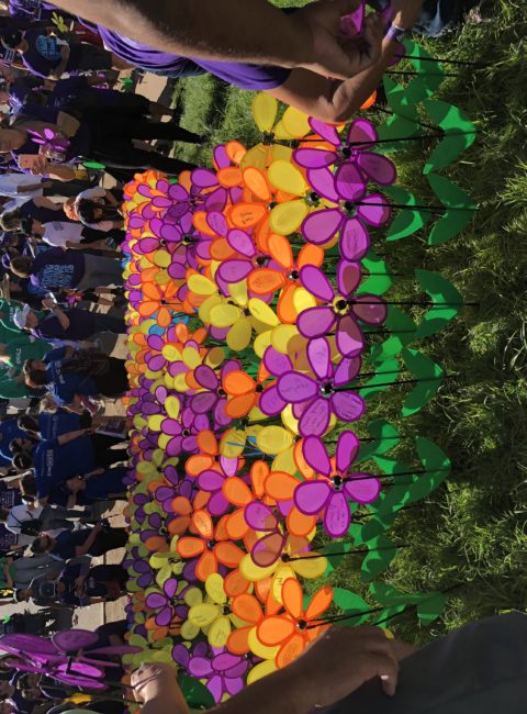 Alzheimer's Promise Garden